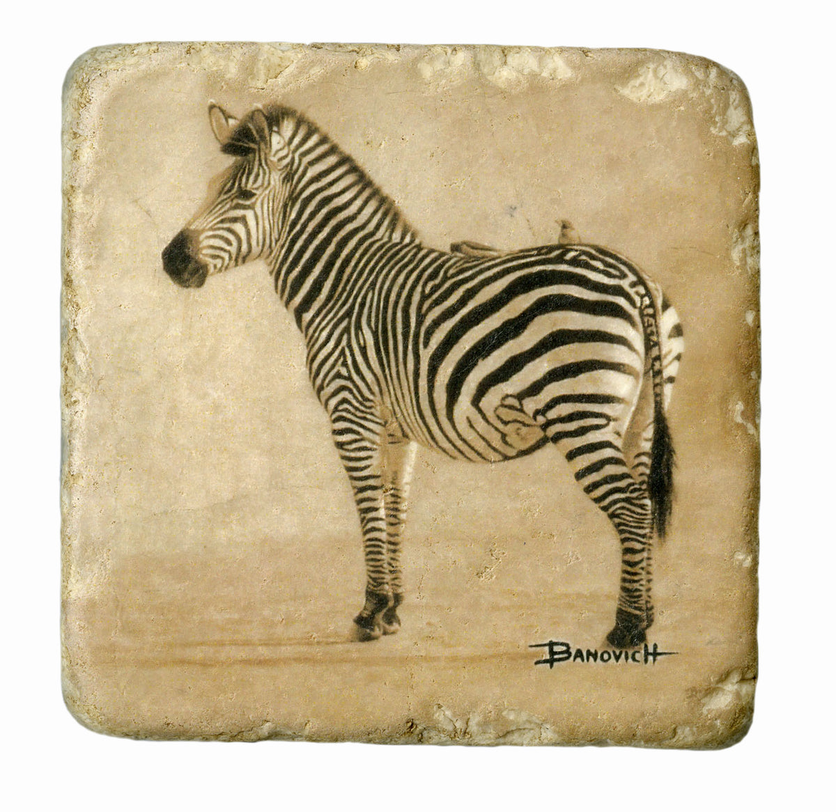 zebra print coasters