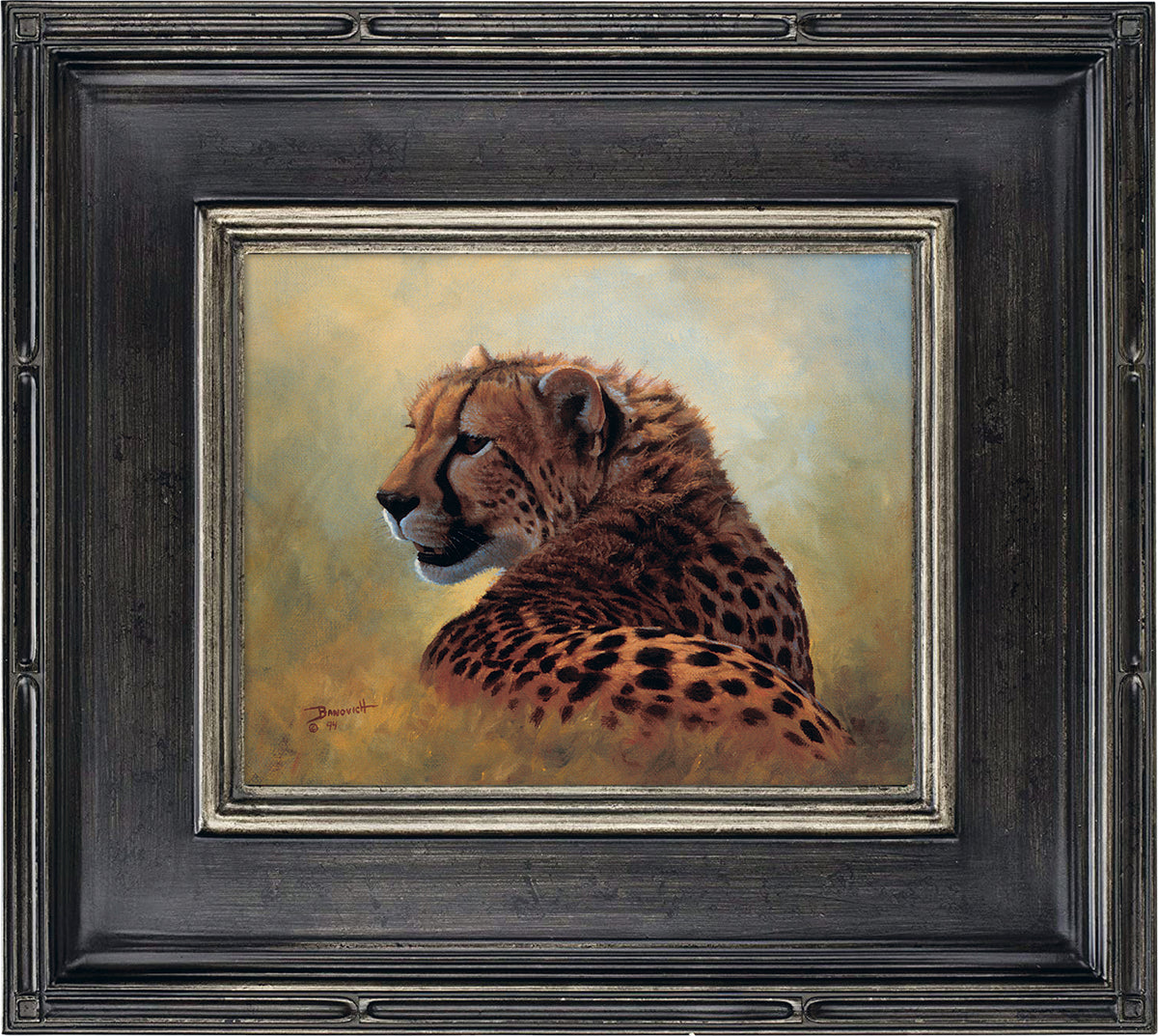 John Banovich - Cheetah Study – Banovich Art